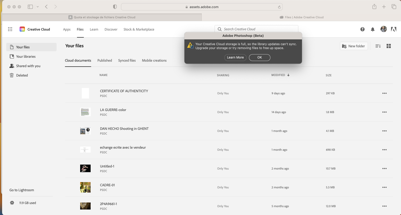 Solved: CC Libraries Sync Error - Adobe Product Community - 10901142